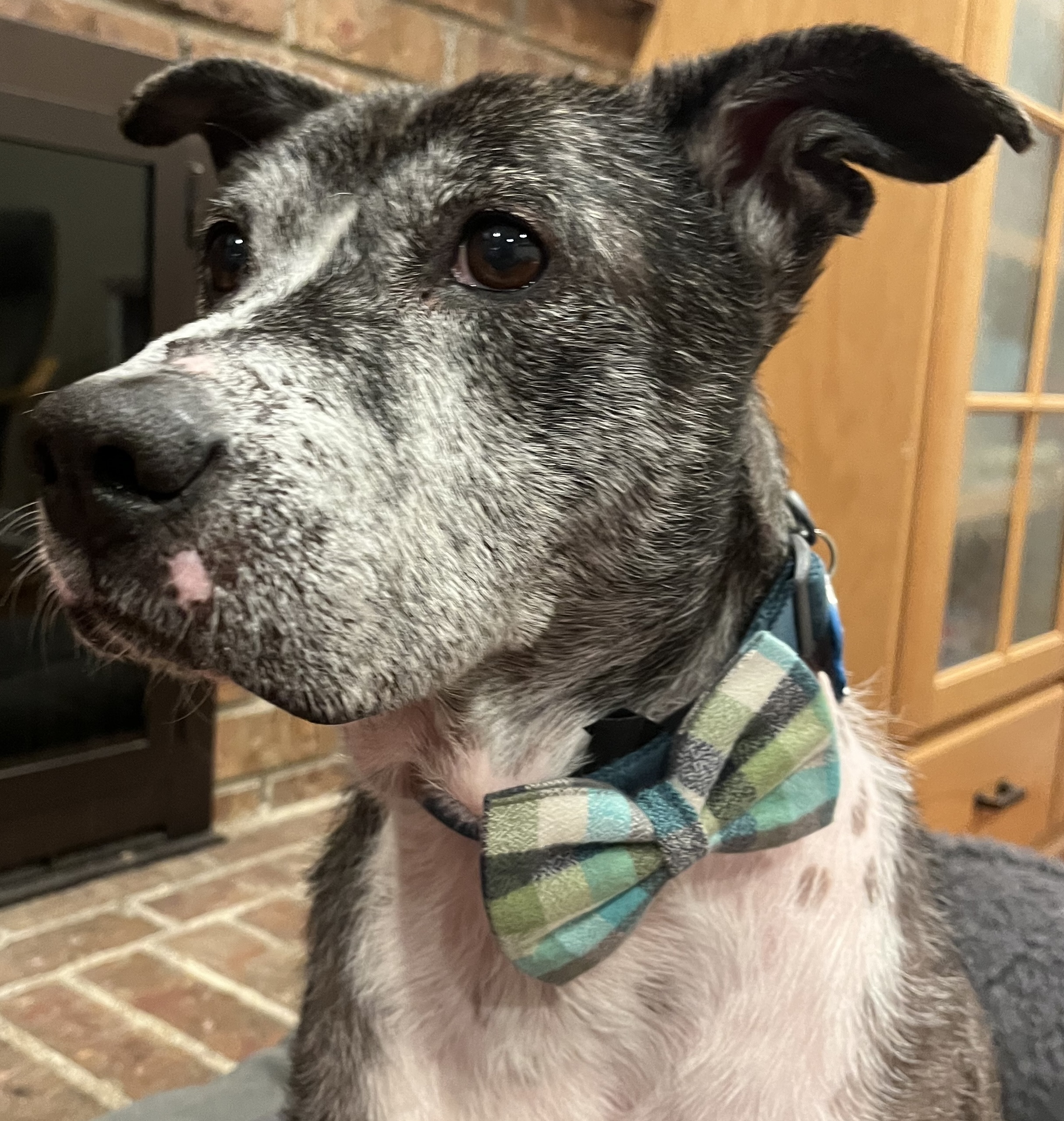 2024 Eligibility Post – Devan Barlow